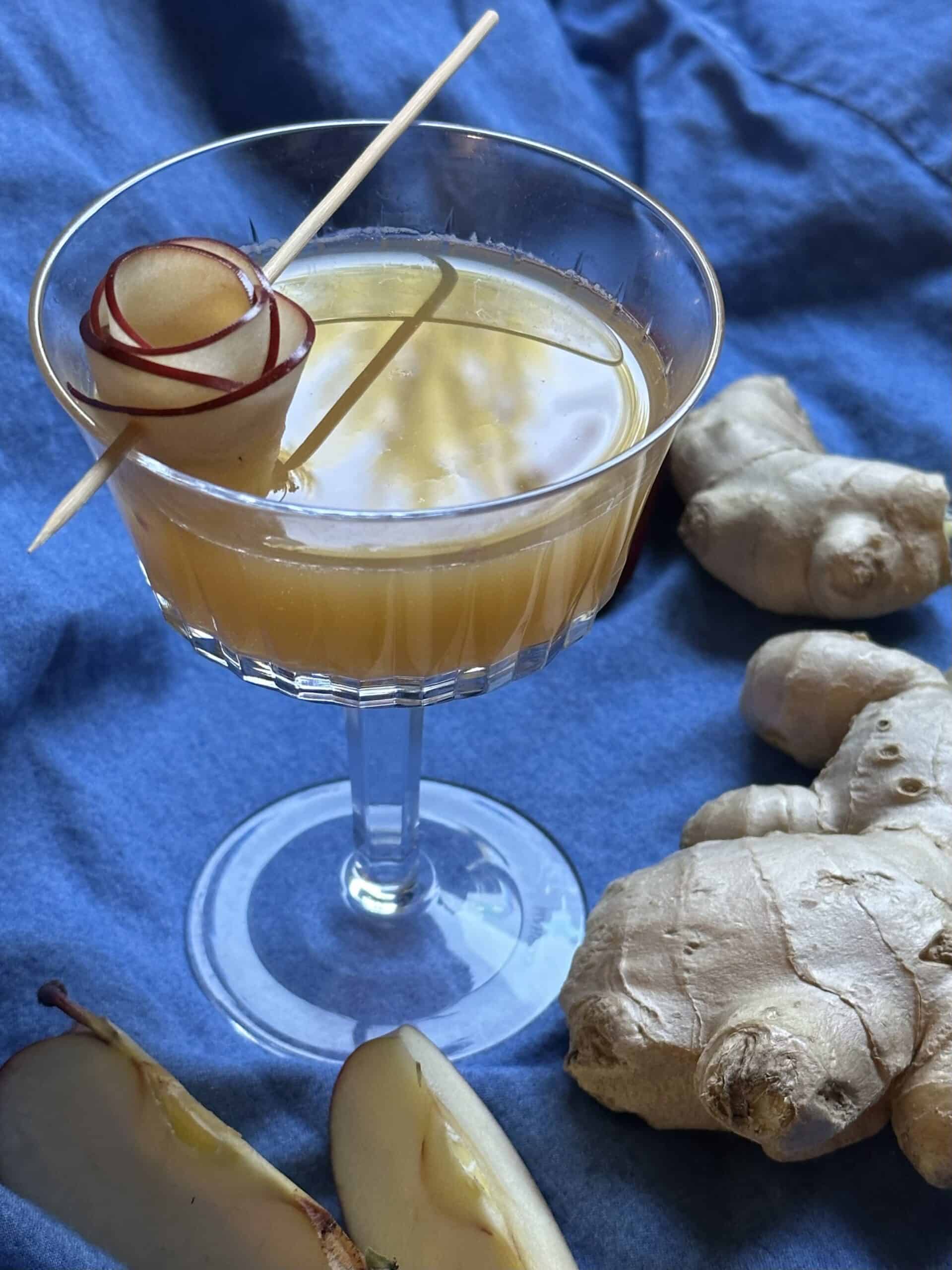 Apple Cider and Ginger Mocktail - James Street Home